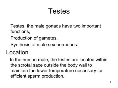 Testes Function