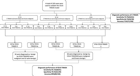Classification Tirads Thyroid Image Reporting And Data System Mftihf