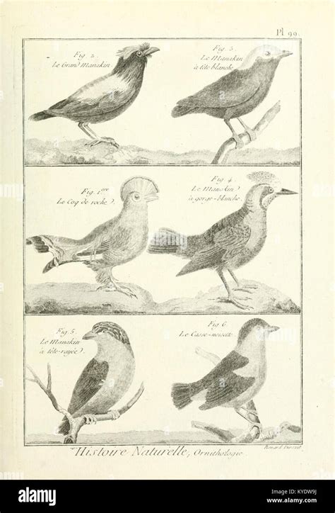 This Tableau Encyclopédique Provides A Systematic And Methodical