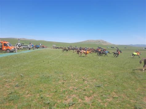 Үндэсний их баяр наадмын тухай хууль Хүүхдийн эрхийн тухай хууль