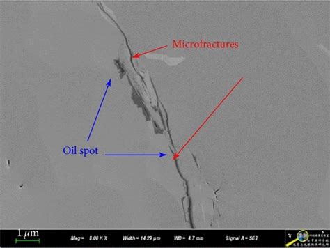 The Oil Distribution Characteristics In Microfractures Download Scientific Diagram