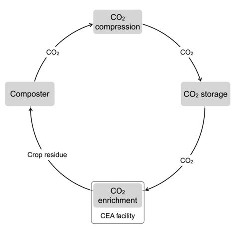 flow of co2 in a compost based closed loop cea system download