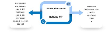 Sap Erp 비에스지원 베트남