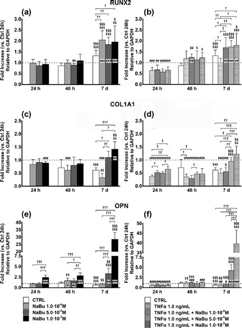 Expression Of Key Genes In Osteoblastic Differentiation Effects Of Download Scientific Diagram