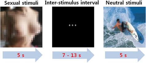 The Event Related Paradigm For Sexual Desire Download Scientific Diagram