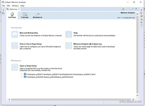 Java内存分析工具MAT Memory Analyzer Tool 的介绍与使用 卡卡西殿 博客园