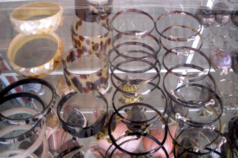 Illegal Trade Of Sea Turtle Shell Products In Tanjung Benoa Bali