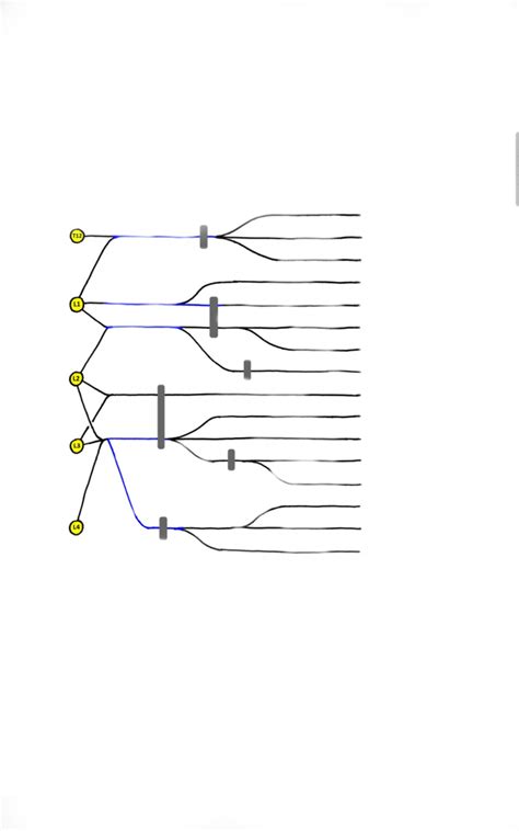 Plexus Lumbalis Diagram Quizlet