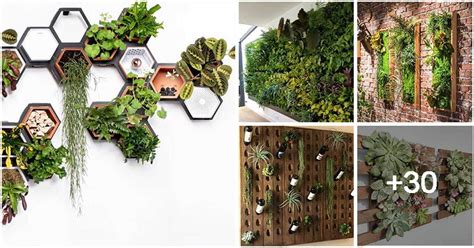 35 Eye Catching Indoor Wall Decor Ideas With Plants To Inspire You