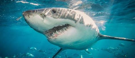 How To Secure Nodejs Rest Api From Attacks Json World