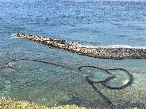 Homeworkclassification Classification Dataset And Pre Trained Model By Discover