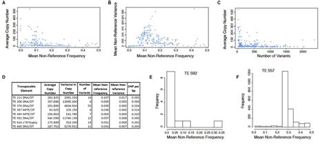 A The Average Relative Copy Number Of Transposable Elements Calculated