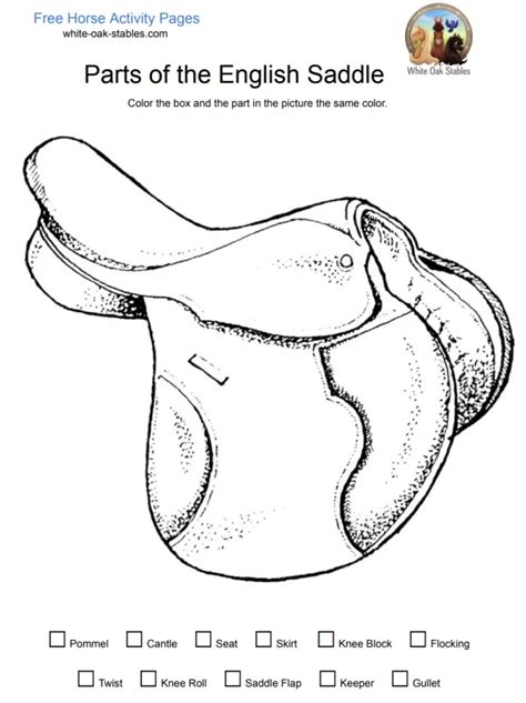 Printable Parts Of The Saddle Worksheet
