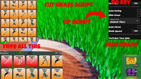 Roblox Cut Grass Script Auto Swing Hide Grass Auto Chest No Key
