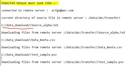 Ftplib Using Python How To Download Multiple Files From A