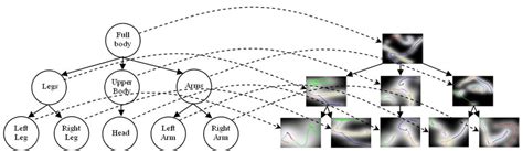 A Hierarchical Model Of The Human Body Left And The Corresponding Download Scientific Diagram