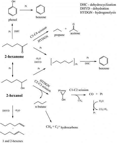 A Plausible Pathways For The Formation Of Various Products Obtained