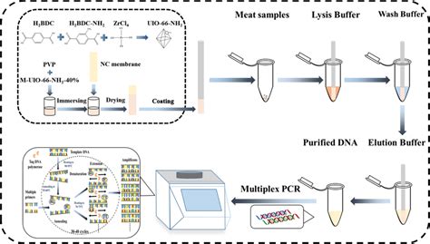 Schematic Illusion Of Uio 66 Synthesis Extraction Device Fabrication
