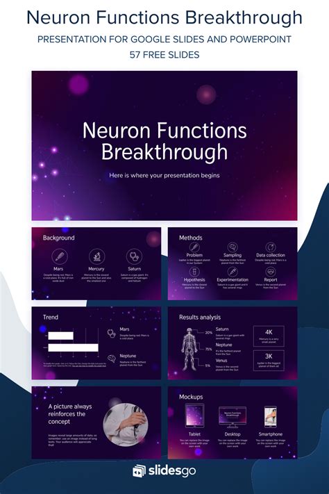 Discover The Latest Breakthroughs In Neuron Functions