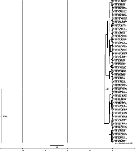 Bayesian Phylogenetic Inference Built With Haplotypes From Prionace Download Scientific