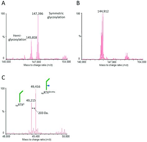 Nano Liquid Chromatography Electrospray Ionization Quadrupole Time Of Download Scientific