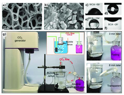 Collection Of Bubbles By A Bubble Janus A B Microstructure Of The Download Scientific