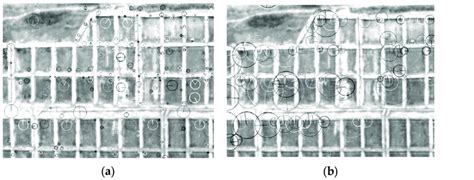 The Identification Of Interest Points By Using Sift And Surf