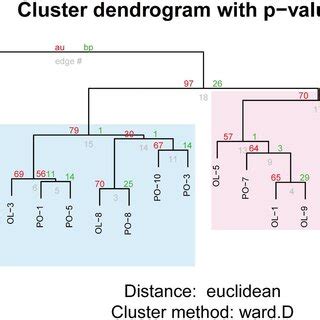 Hierarchical Clustering Analysis According To The Presence Or Absence