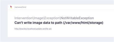 can t write image data to path laravel image intervention phpstorm