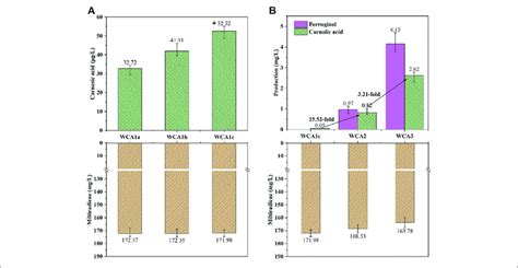 Ca Production In S Cerevisiae Increased In A Stepwise Manner A