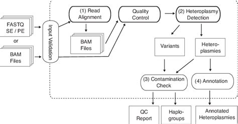 overall mtdna server workflow for fastq and bam input download
