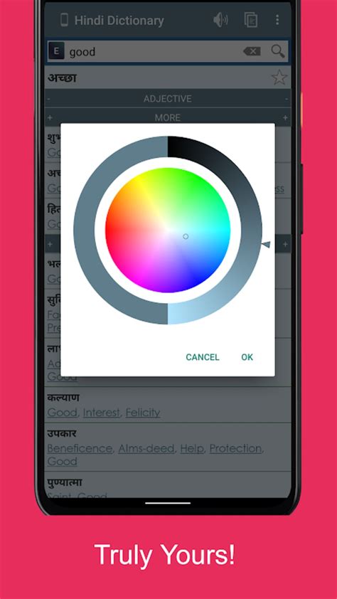 Hindi Dictionary Offline Apk Para Android Descargar