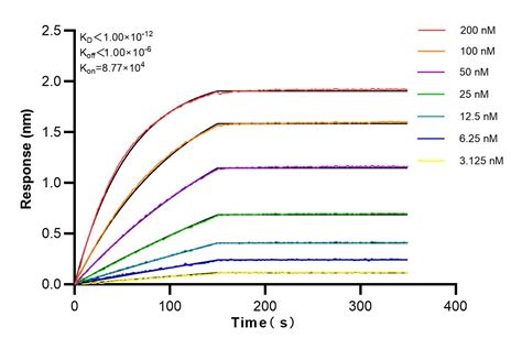 Tlr3 Antibody 83136 3 Rr Proteintech