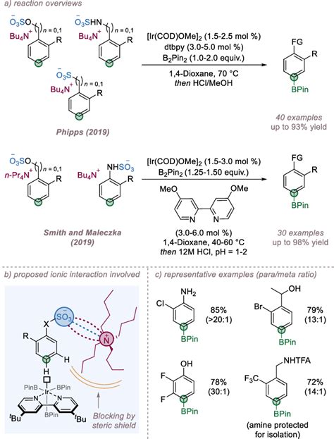 Simultaneous Reports Demonstrated Para Selective Borylation Of Common Download Scientific