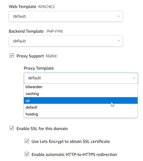 No Have No Found Proxy Template 2 By Kenos Web Hestia Control
