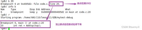 【linux】gdb保姆级调试指南（什么是gdb？gdb如何使用？）gdb教程 Csdn博客