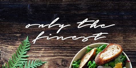 graced script font typing guru