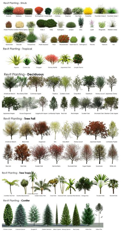 Revit RPC Plant And Tree Reference Guide TheRevitKid Com Tutorials Tips Products And