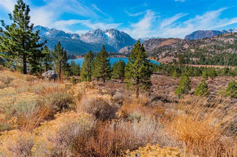 16 Fabulous Things To Do In June Lake California Roadtripping California