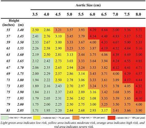 Ascending Aorta Normal Size Renew Physical Therapy