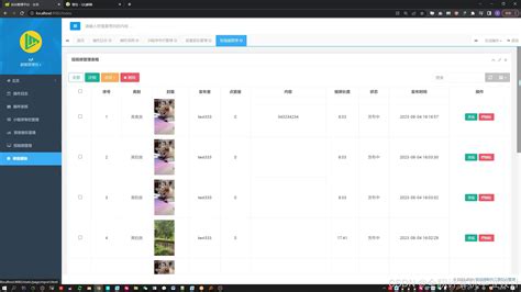 基于微信小程序的短视频系统（springboot）文档微信小程序视频管理系统 Csdn博客