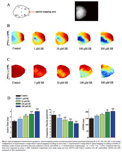 Recent Publication Update Mappinglab