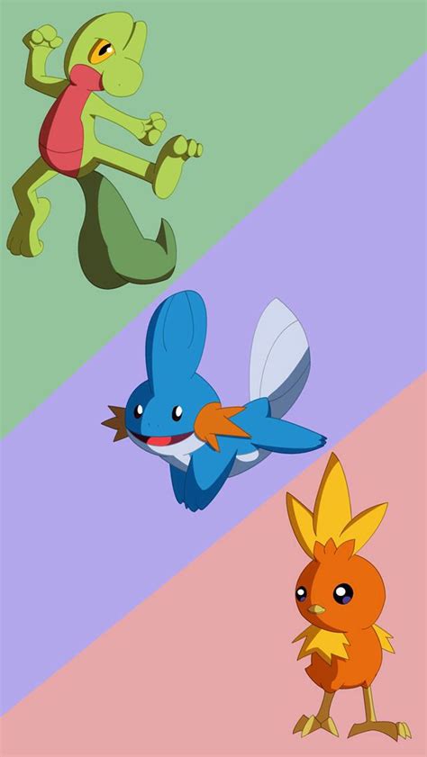 Mudkip Treeko And Torchic
