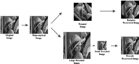 Examples Of The Geometric Distortion Estimation Process Download