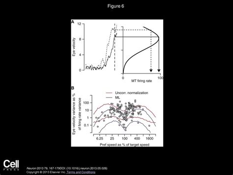 Sensory Population Decoding For Visually Guided Movements Ppt Download