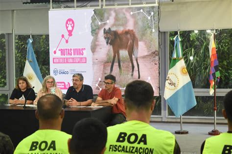 Ruta Vivas Jornada Para Proteger La Fauna Autóctona En El Chaco
