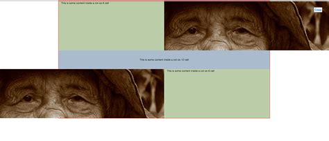 Javascript Bootstrap With A Fixed Width Grid And Images That Should