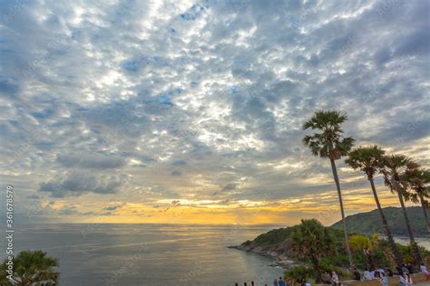 The Sugar Palm Is A Symbol Of Promthep Cape Viewpoint Promthep Cape