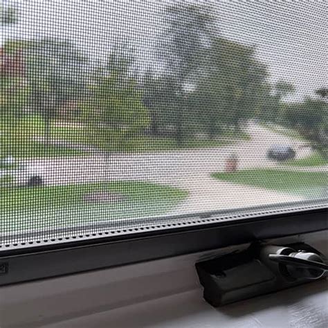 The Ultimate Window Screen Guide