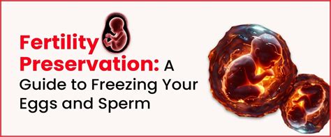 Fertility Preservation Procedure Purpose And Cost Imprimis Ivf